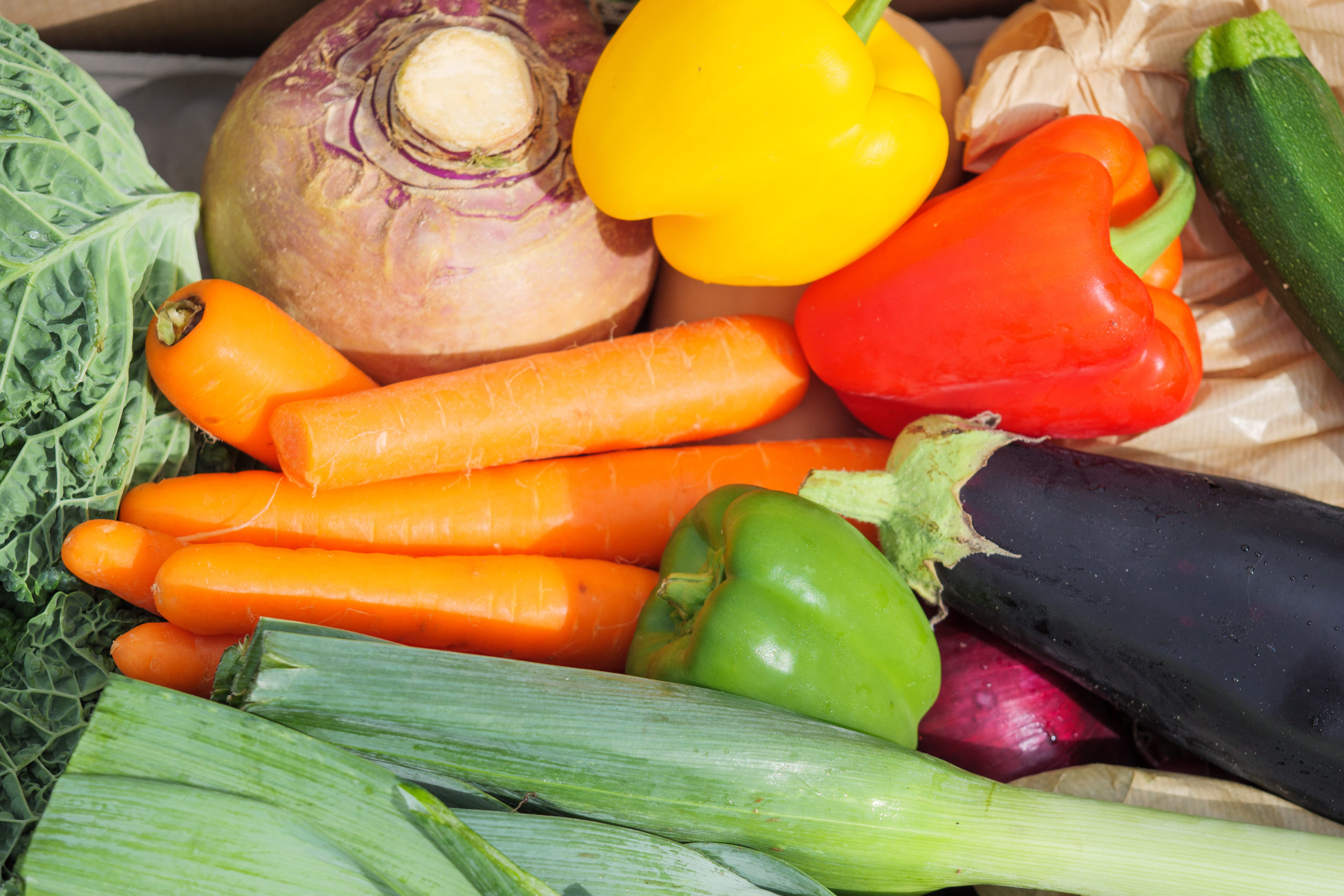 Welcome! – Bitterne Box Co