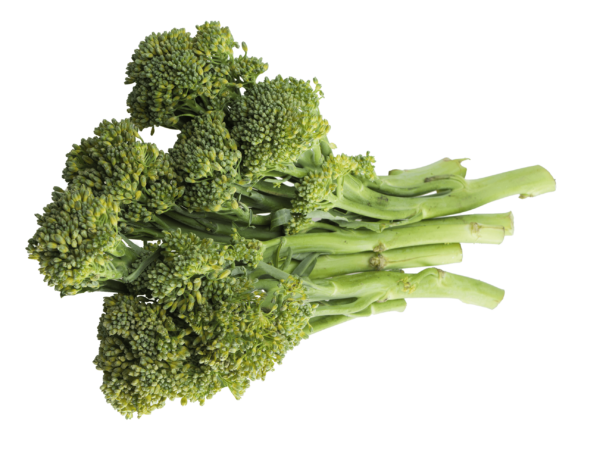 Tenderstem or Purple Sprouting Broccoli Bunch – Bitterne Box Co